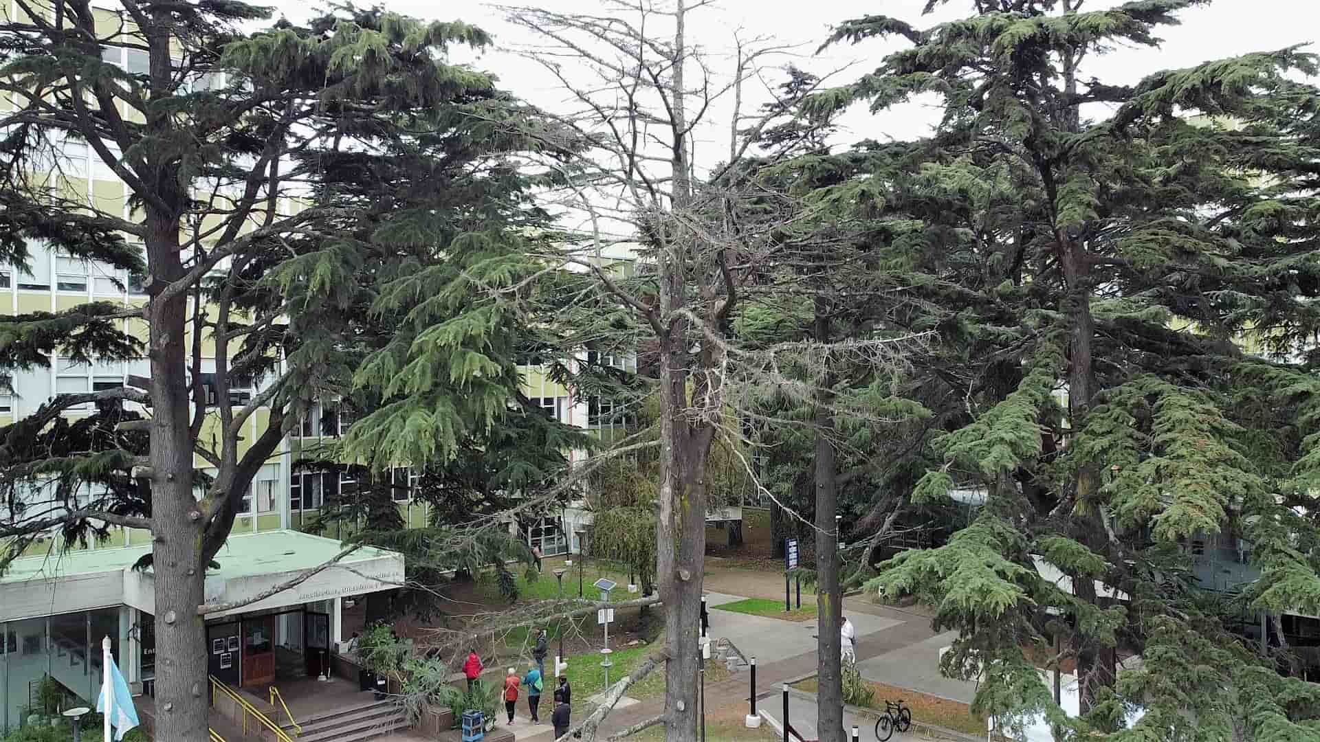 La UNMDP retoma las actividades académicas y administrativas | Punto ...