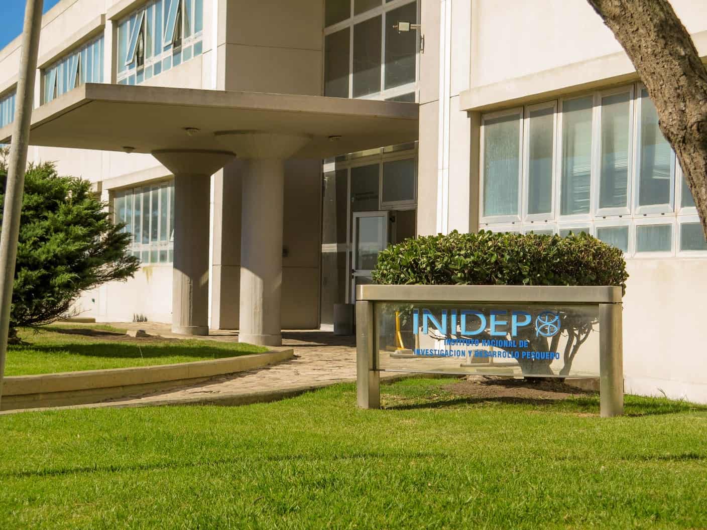 El INIDEP celebra sus 47 años de vida con una muestra interactiva de ...