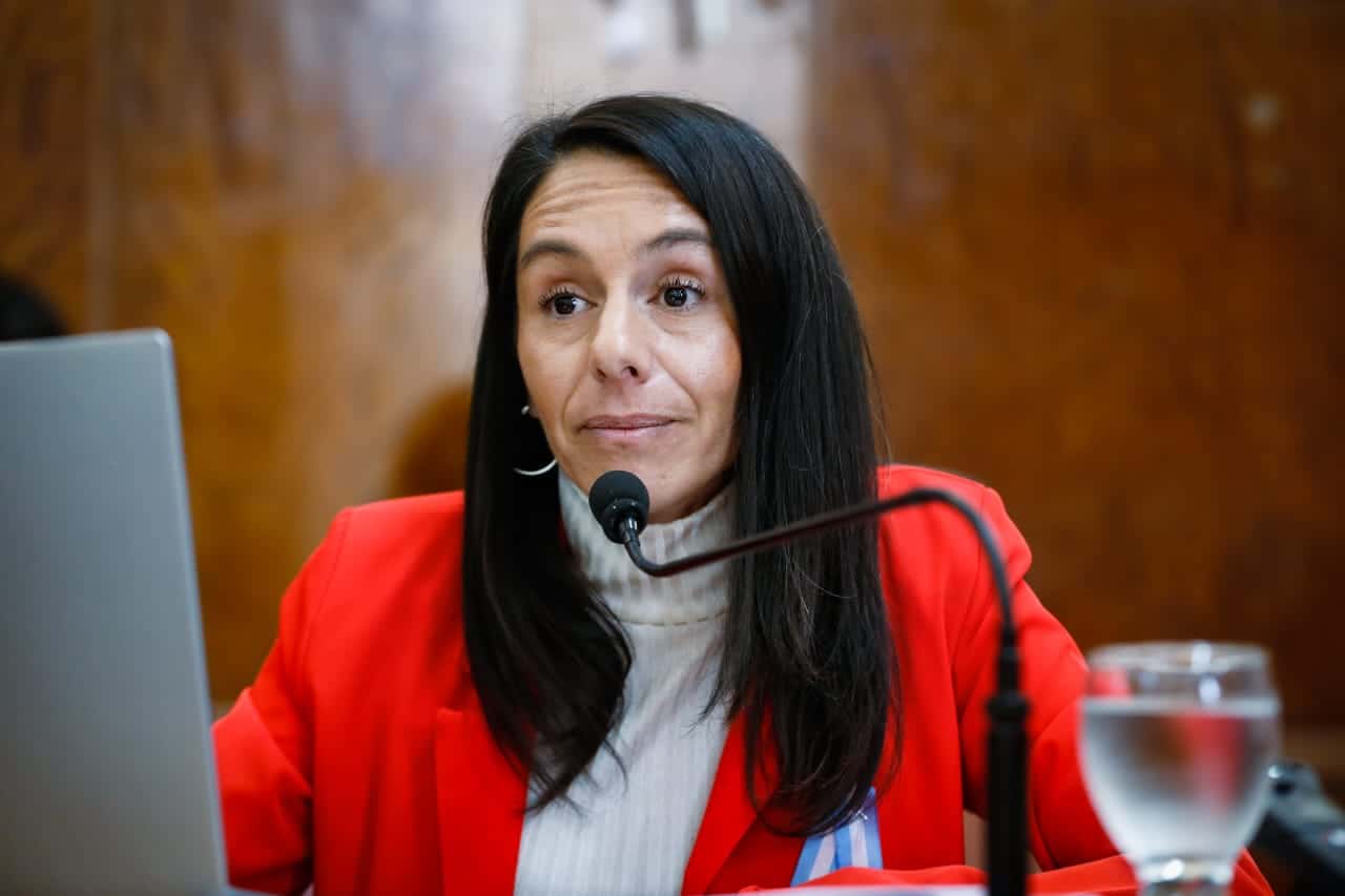 Acción Marplatense impulsa el proyecto “Mar del Plata Cuenta” | Punto ...